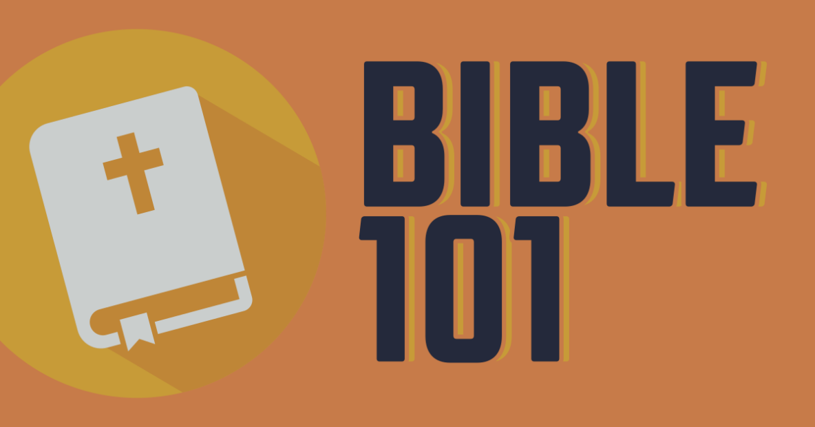 Bible 101 | North Park Baptist Church